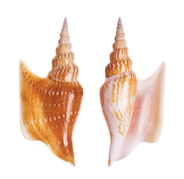 pdsh Parallel Shell » ADMIN Magazine