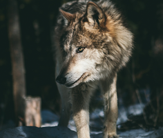 Warewulf 4 » ADMIN Magazine