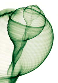 PowerShell » ADMIN Magazine