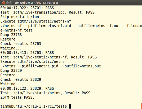 Save and Restore Linux Processes with CRIU
