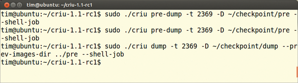 Save and Restore Linux Processes with CRIU