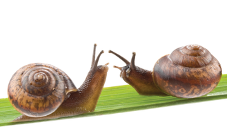 Containers and OpenStack » ADMIN Magazine