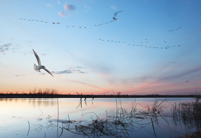 SQL Server Replication » ADMIN Magazine